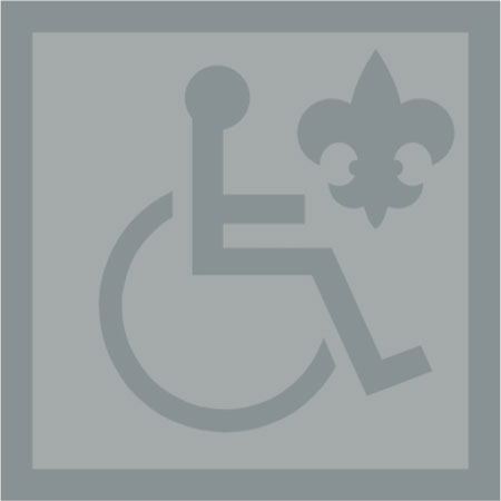 Special Needs Scouting Service Award – Able Scouts