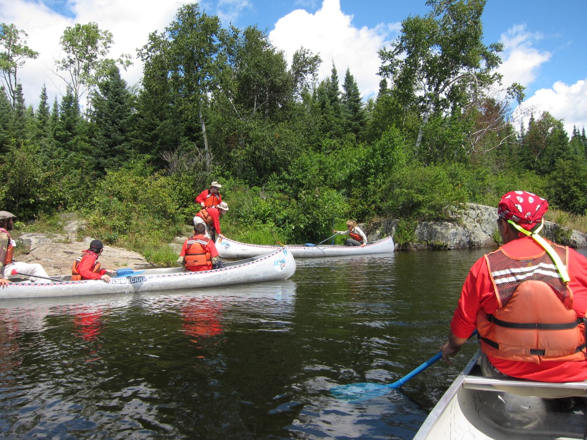 About – Able Scouts